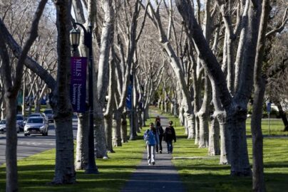 Student Health Plan | Sites at Northeastern